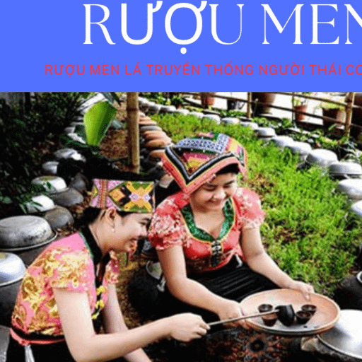 Bảo Quản Rượu Men Lá - Rượu men lá Bảo Quản Rượu Men Lá